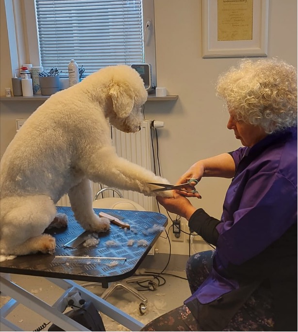 Behandelingen - Trimsalon De Corylus